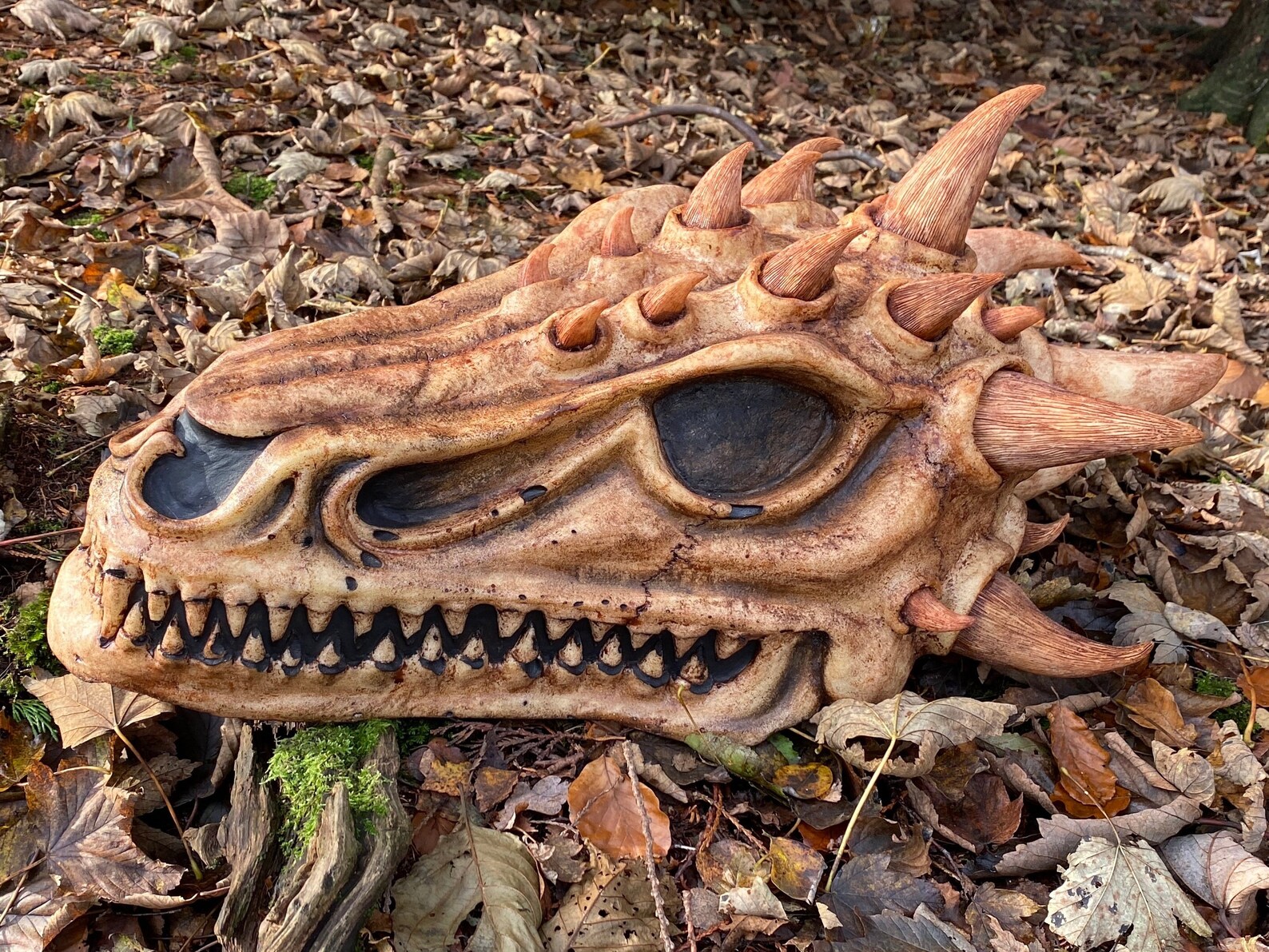 Dragon Skull - Extra Large, Wall Mountable, Dungeons and Dragons, Skrim ...