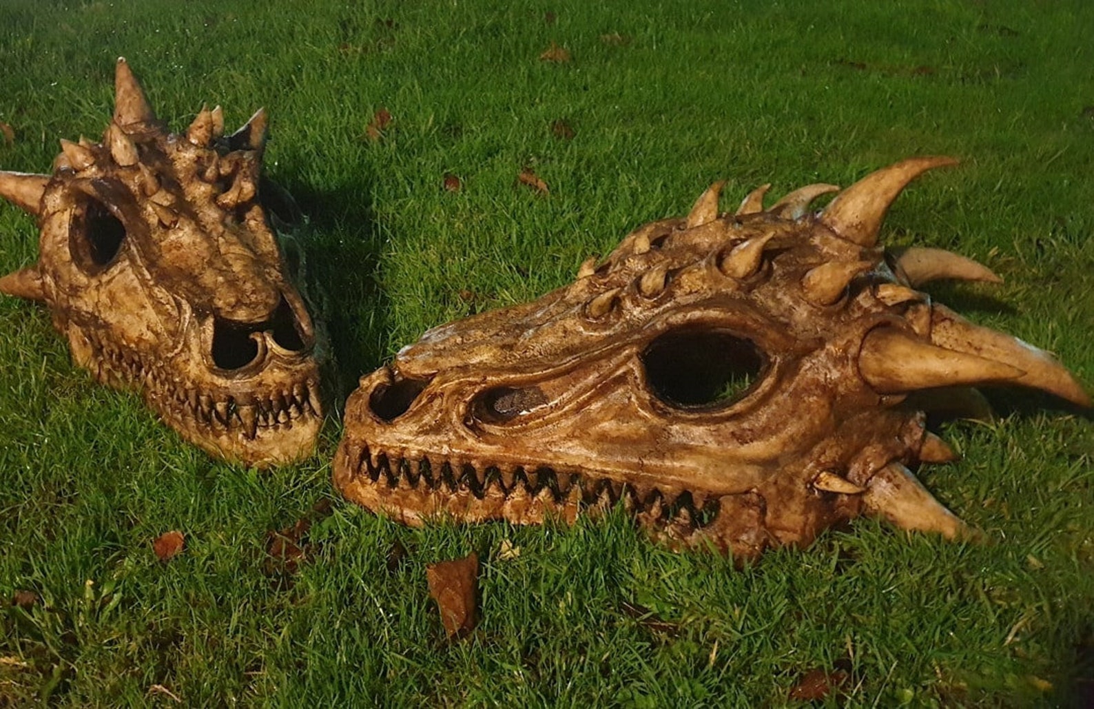 Dragon Skull Extra Large Wall Mountable Dungeons and - Etsy