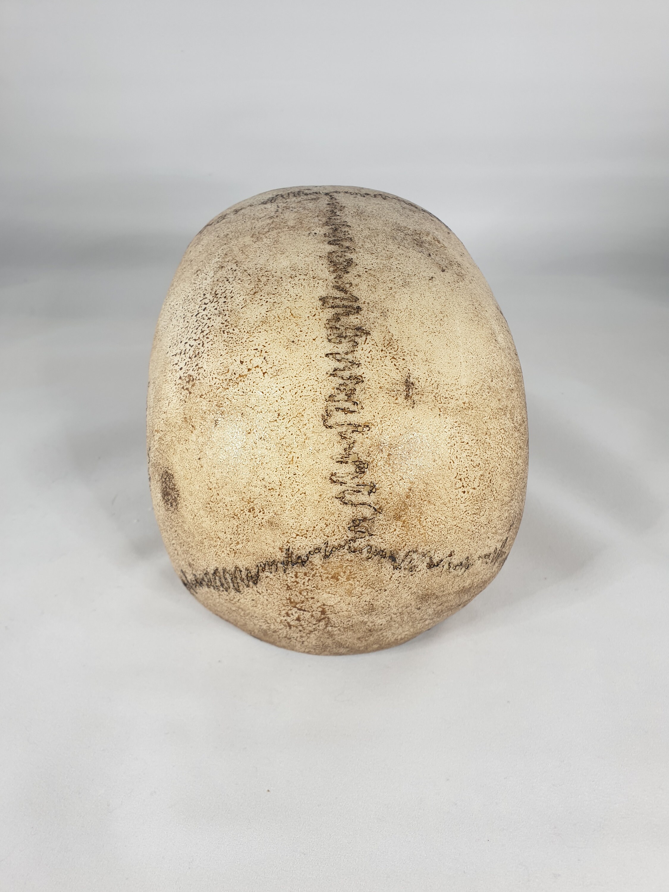 Human Skull Replica Victorian Era Gothic | Etsy UK