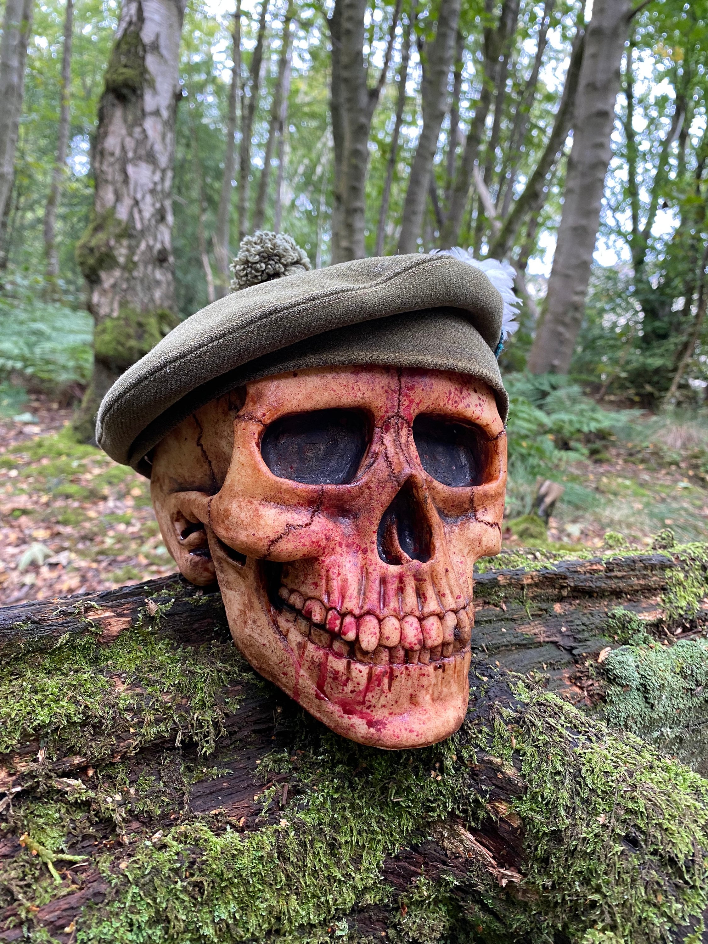 Hat Stand, Full Skull, Hat Rack, Hat Display - Etsy UK