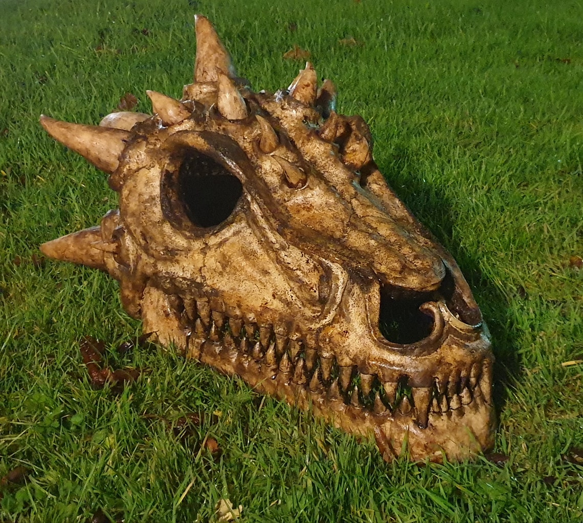 Dragon Skull Extra Large Wall Mountable Dungeons and - Etsy