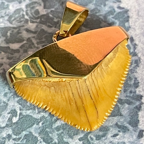 Mens Gold Shark Tooth Necklace - Etsy