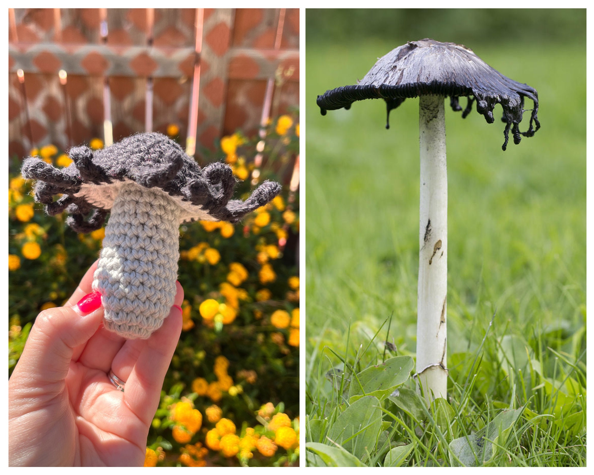 READY TO SHIP Baby Fungi Mushroom Rattle Handmade Amigurumi Baby Shower - Etsy