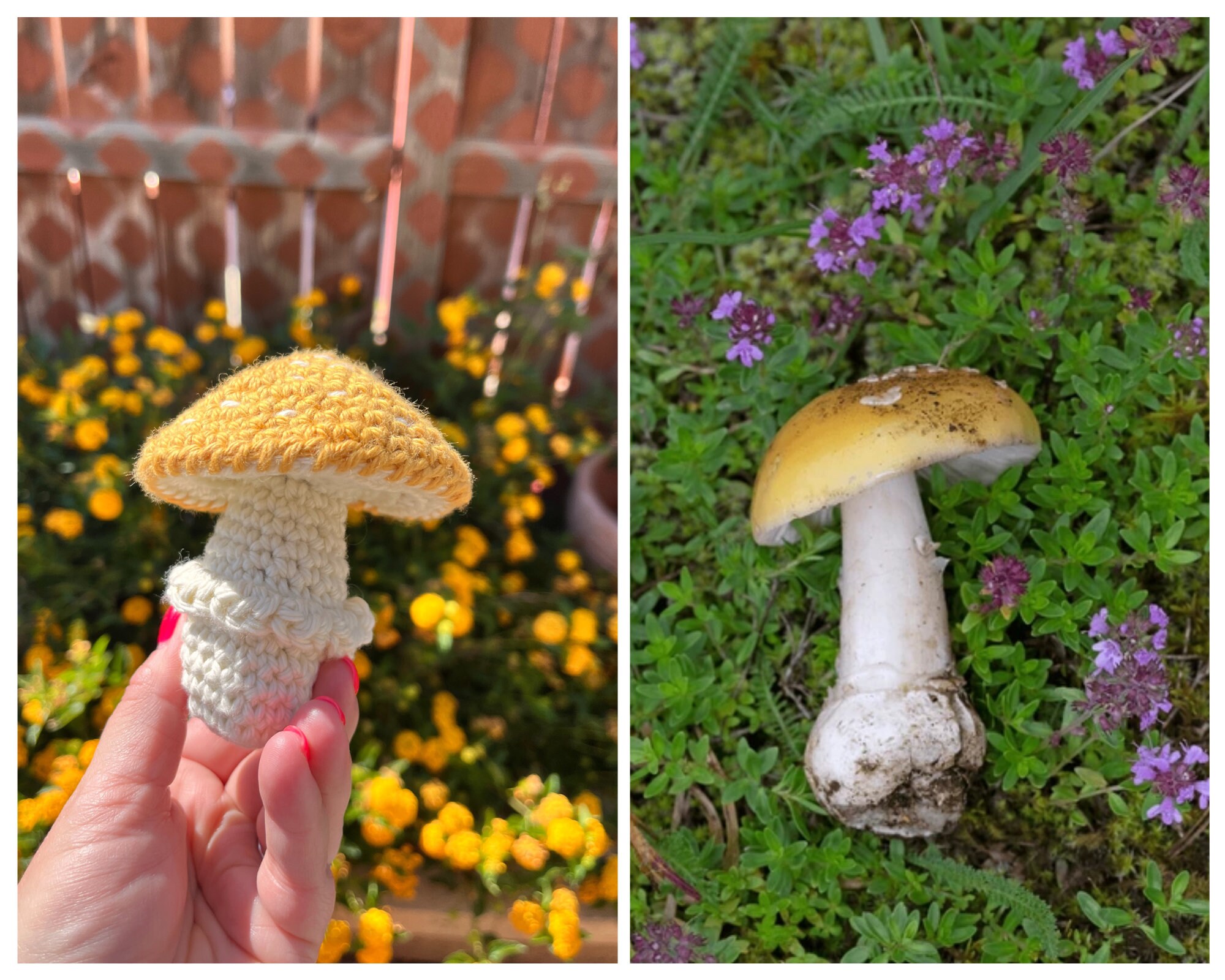 READY TO SHIP Baby Fungi Mushroom Rattle Handmade Amigurumi Baby Shower - Etsy