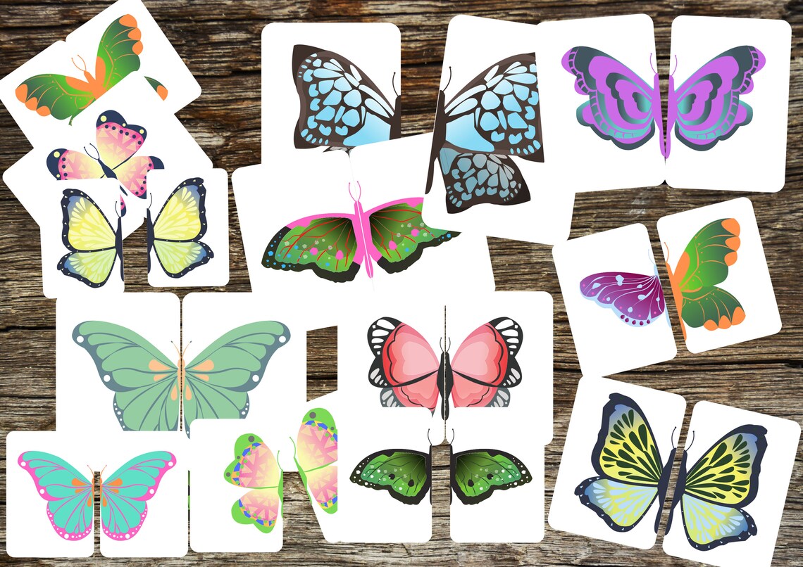 Butterfly Matching Activity Cards Printablepreschool Matching - Etsy