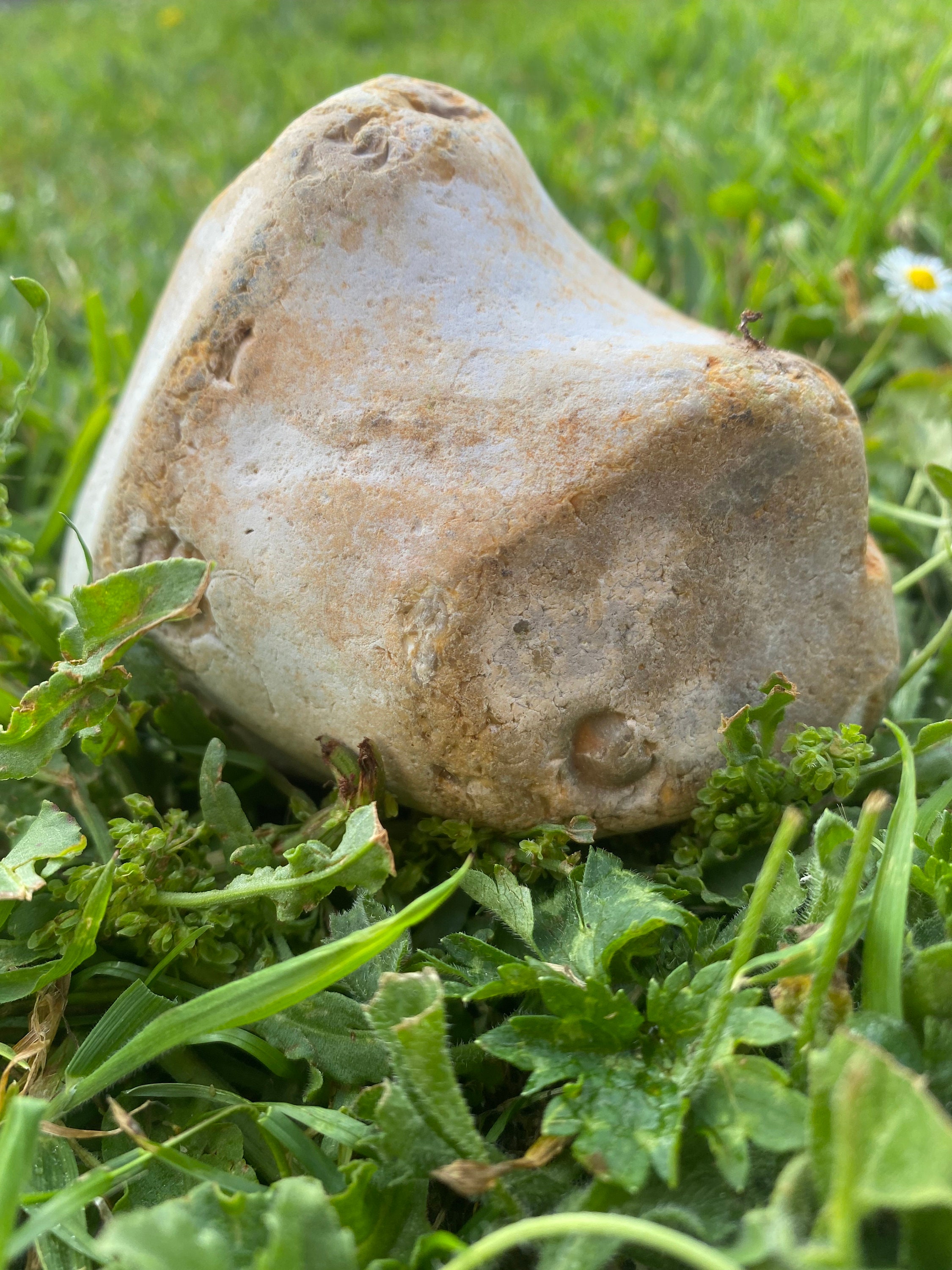 A Beautiful Flint Stone With a Red Line Inside the Stone - Etsy