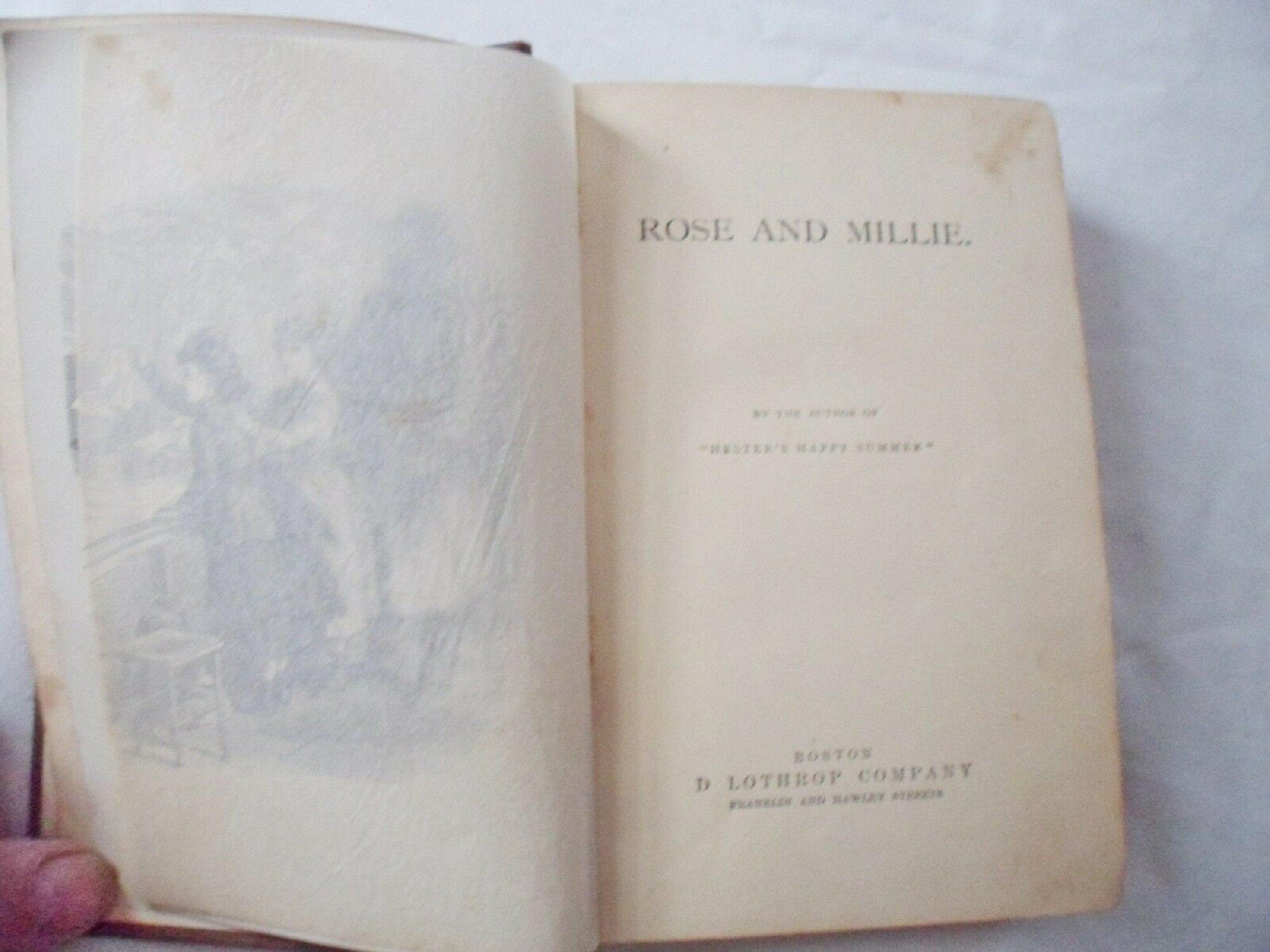 Antique 1872 Book Rose and Millie by Mary Ellen Atkinson - Etsy