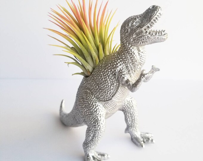 Metallic T-rex Dino Planter With Air Plant tilly - Etsy