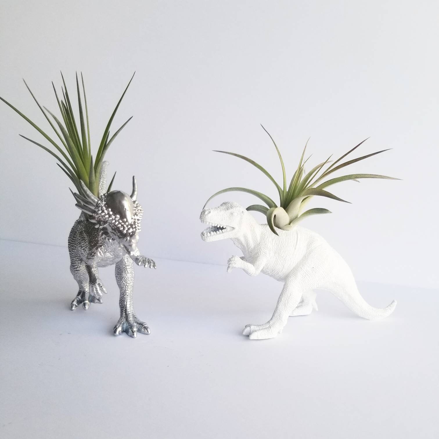 T-rex & Silver Dino Planters With Air Plants tilly / Dino - Etsy