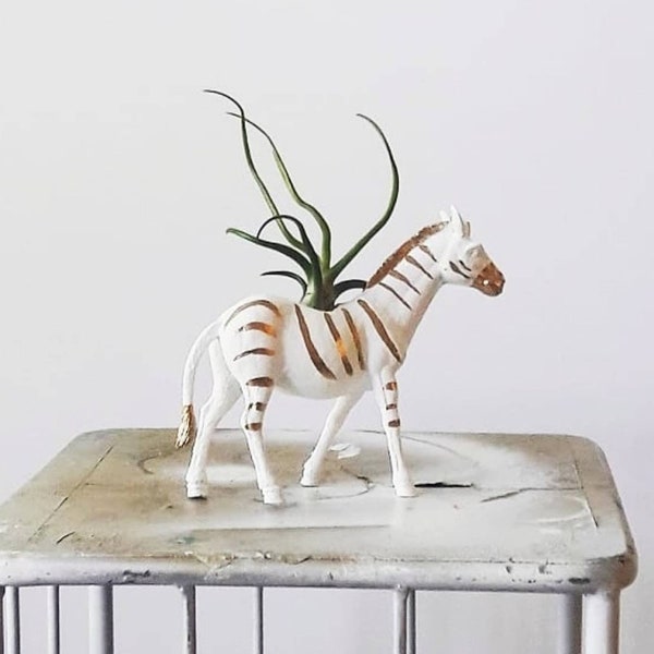 Zebra Planter - Etsy