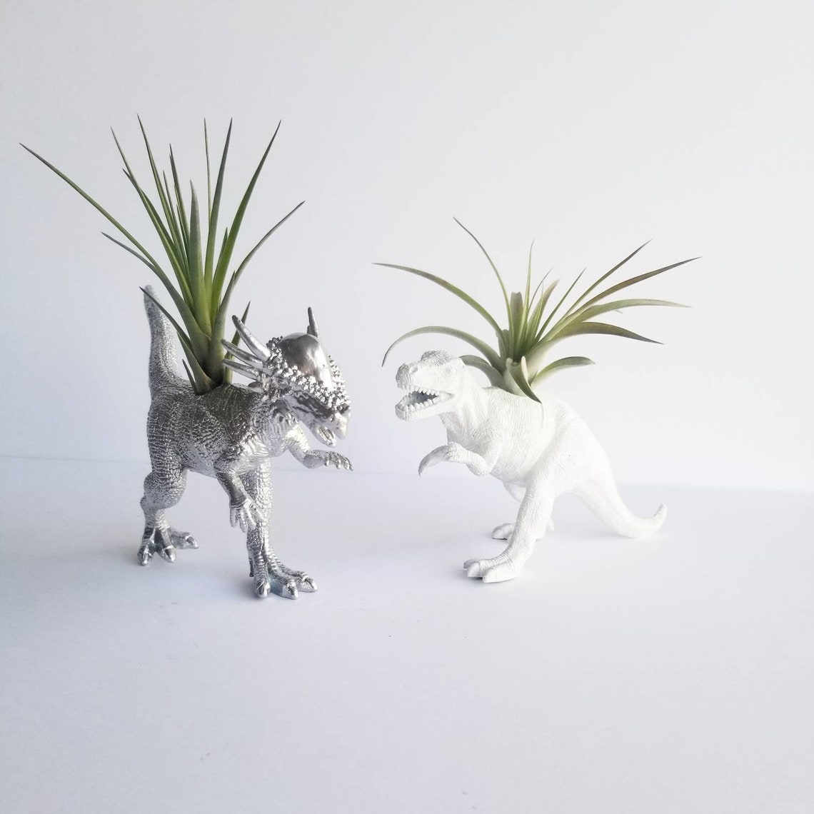 T-rex & Silver Dino Planters With Air Plants tilly / Dino - Etsy