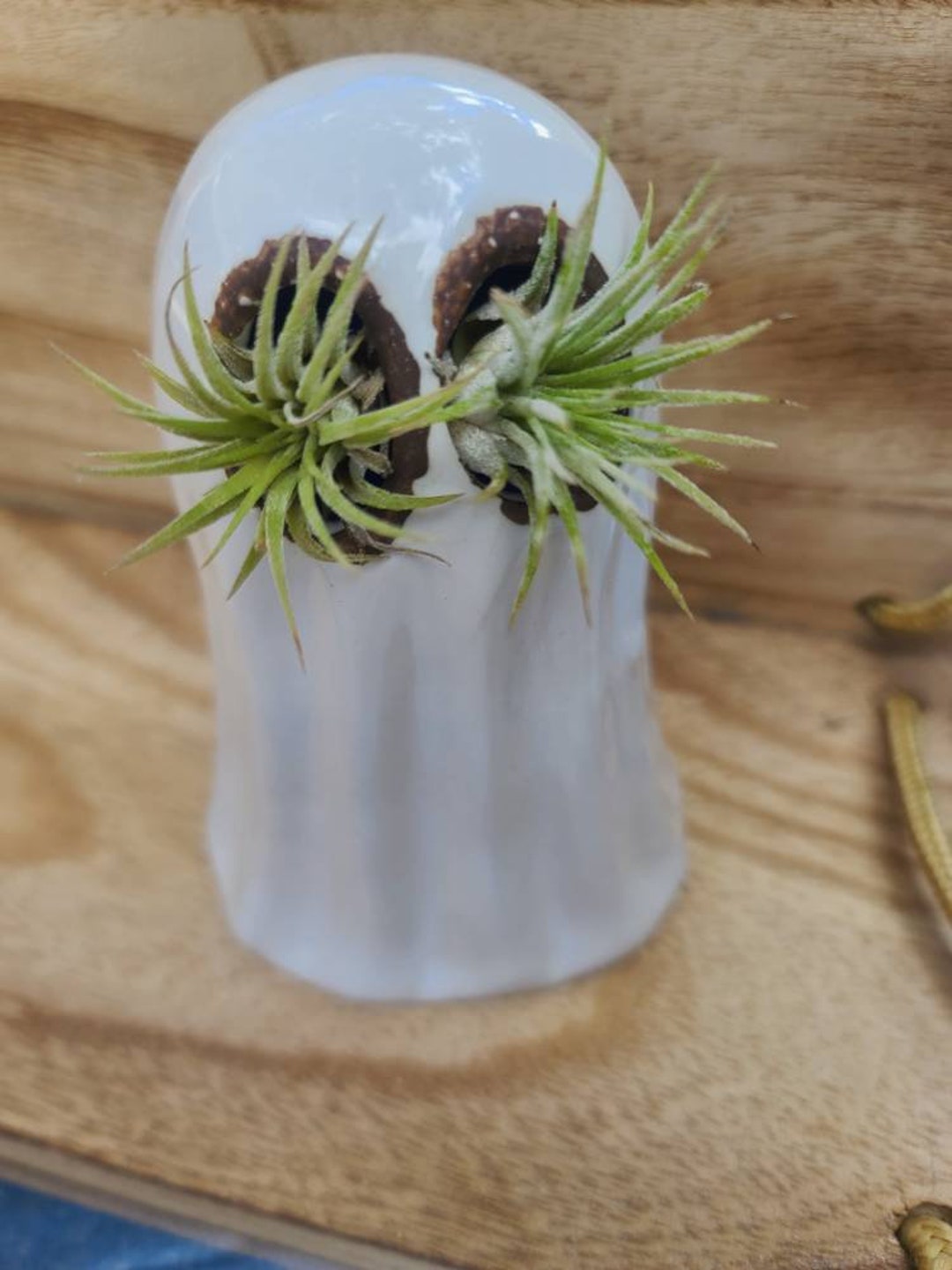 Ceramic Ghost Planter Decor With Air Plants, Halloween Decor, Halloween ...