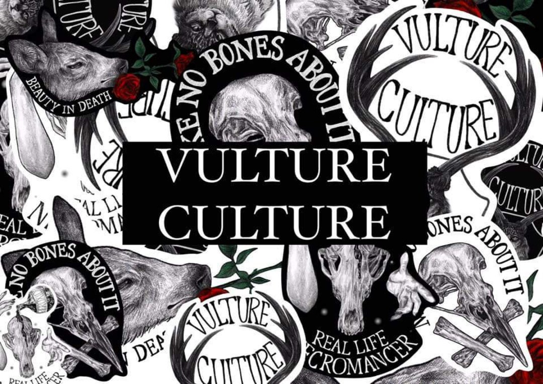 VULTURE CULTURE, Original Large Vinyl Sticker Set of 4 Oddities ...