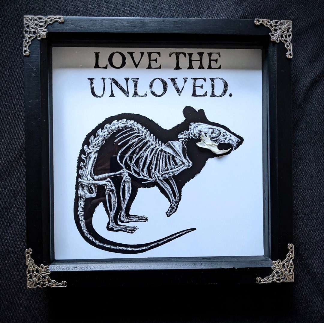 LOVE the UNLOVED, Original Art Print With Real Rat Jaw Taxidermy Framed ...
