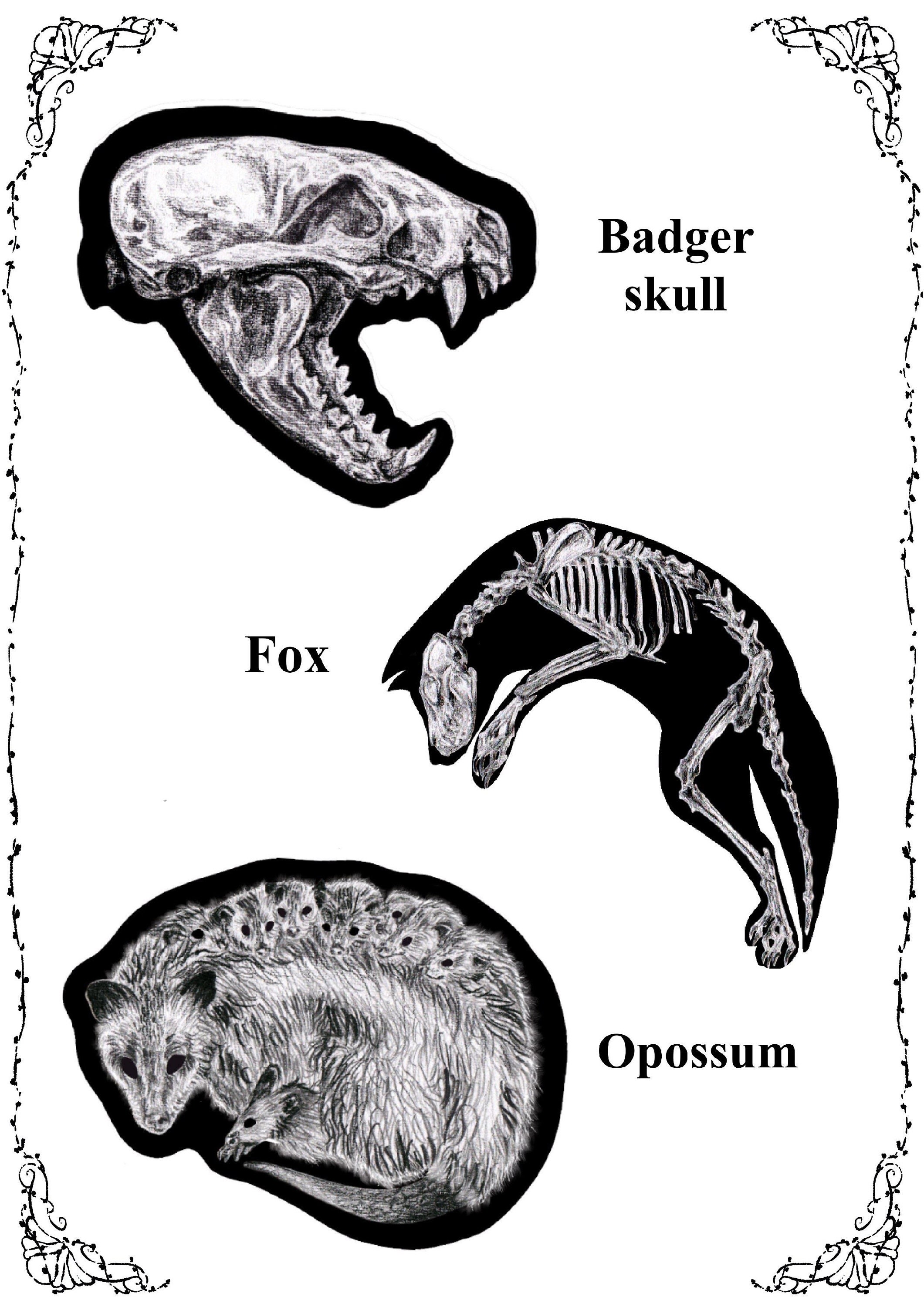 LOVE THE UNLOVED Original Vinyl Sticker Pick N Mix Oddities - Etsy