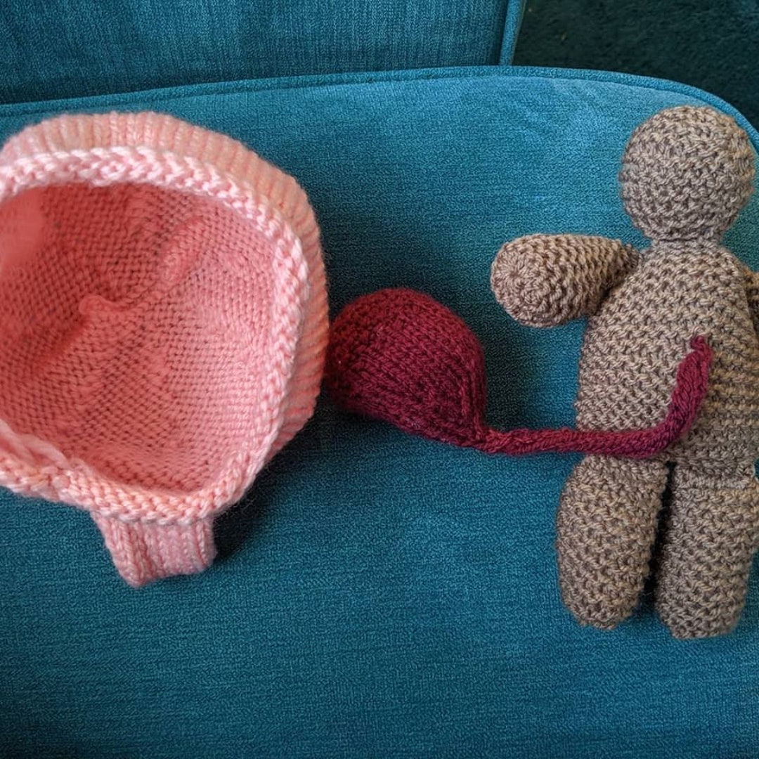Fetal Positioning Uterus Hand Knitted - Etsy UK