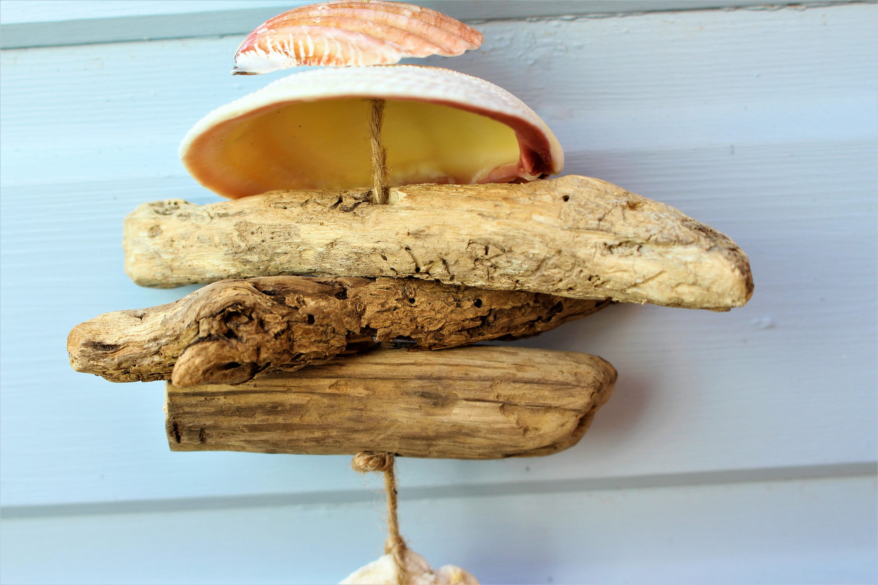 Driftwood hanging Sun Catcher with Sea Glass and Sea Shells | Etsy