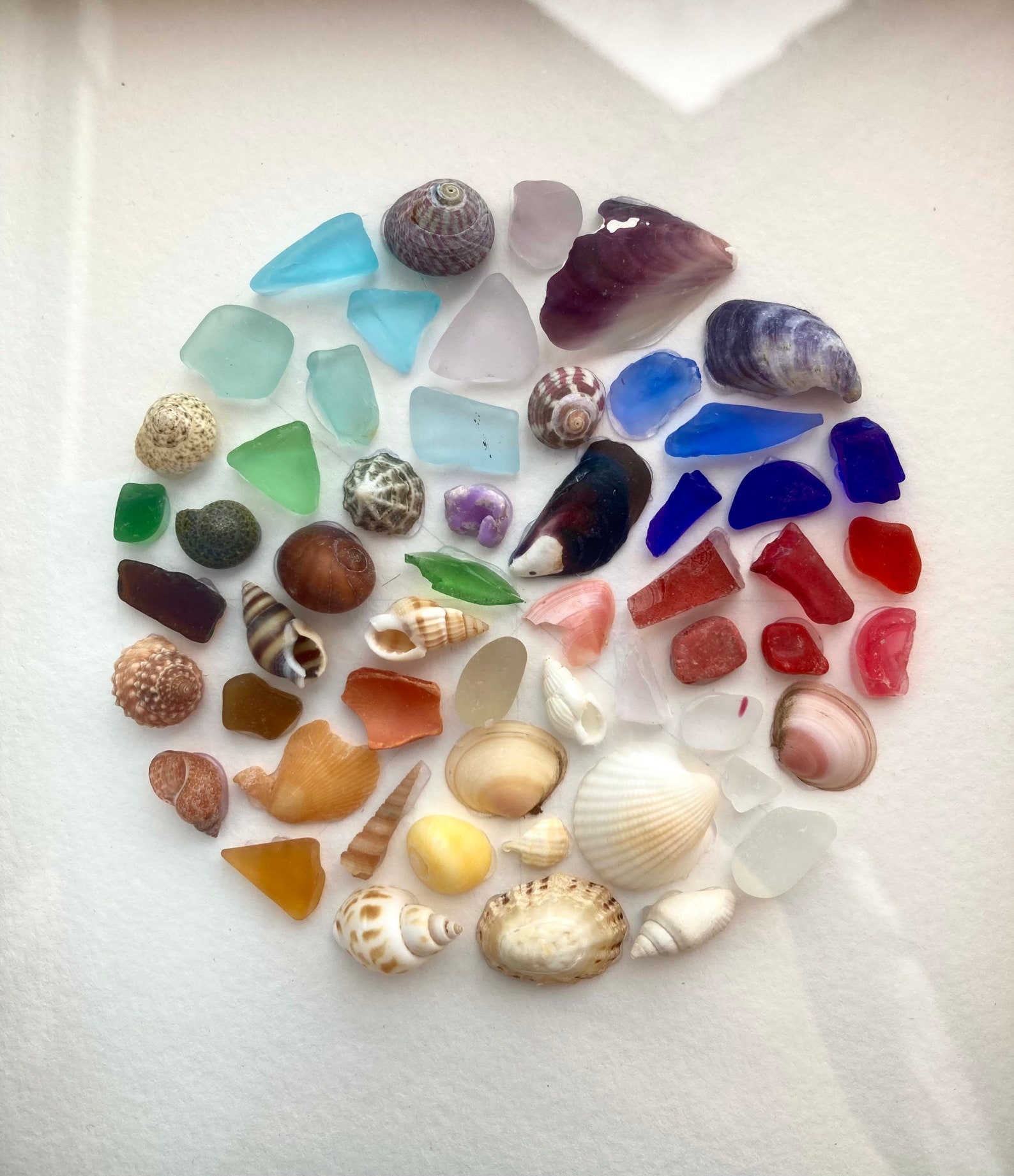 Rainbow Sea Glass and Sea Shell Circle Art Framed in a White - Etsy