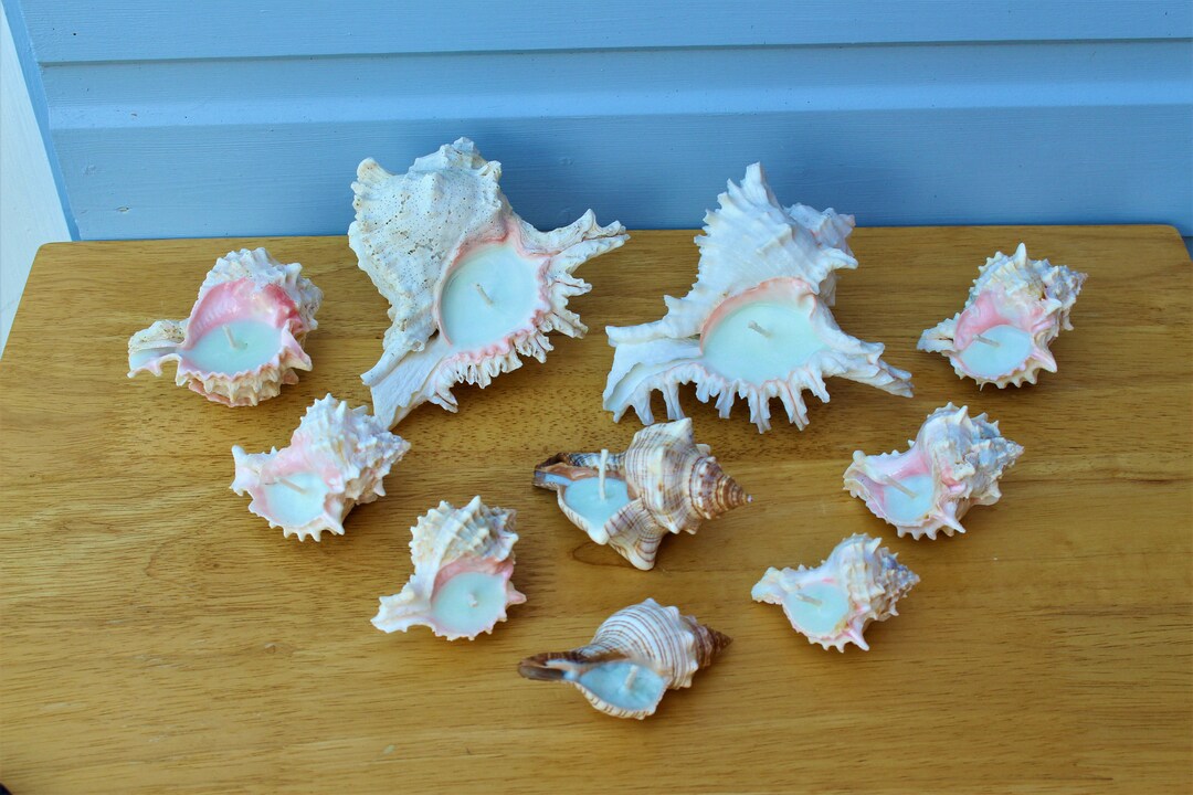 Cornish Coast Scented Seashell Candles - Soy Wax Coastal Decor, Set of ...