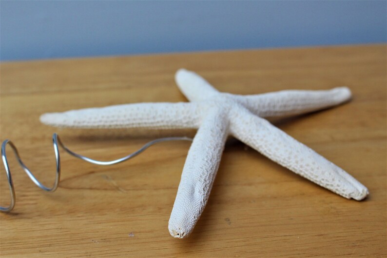 Natural Starfish Christmas Tree Topper Fastened using Flexible | Etsy