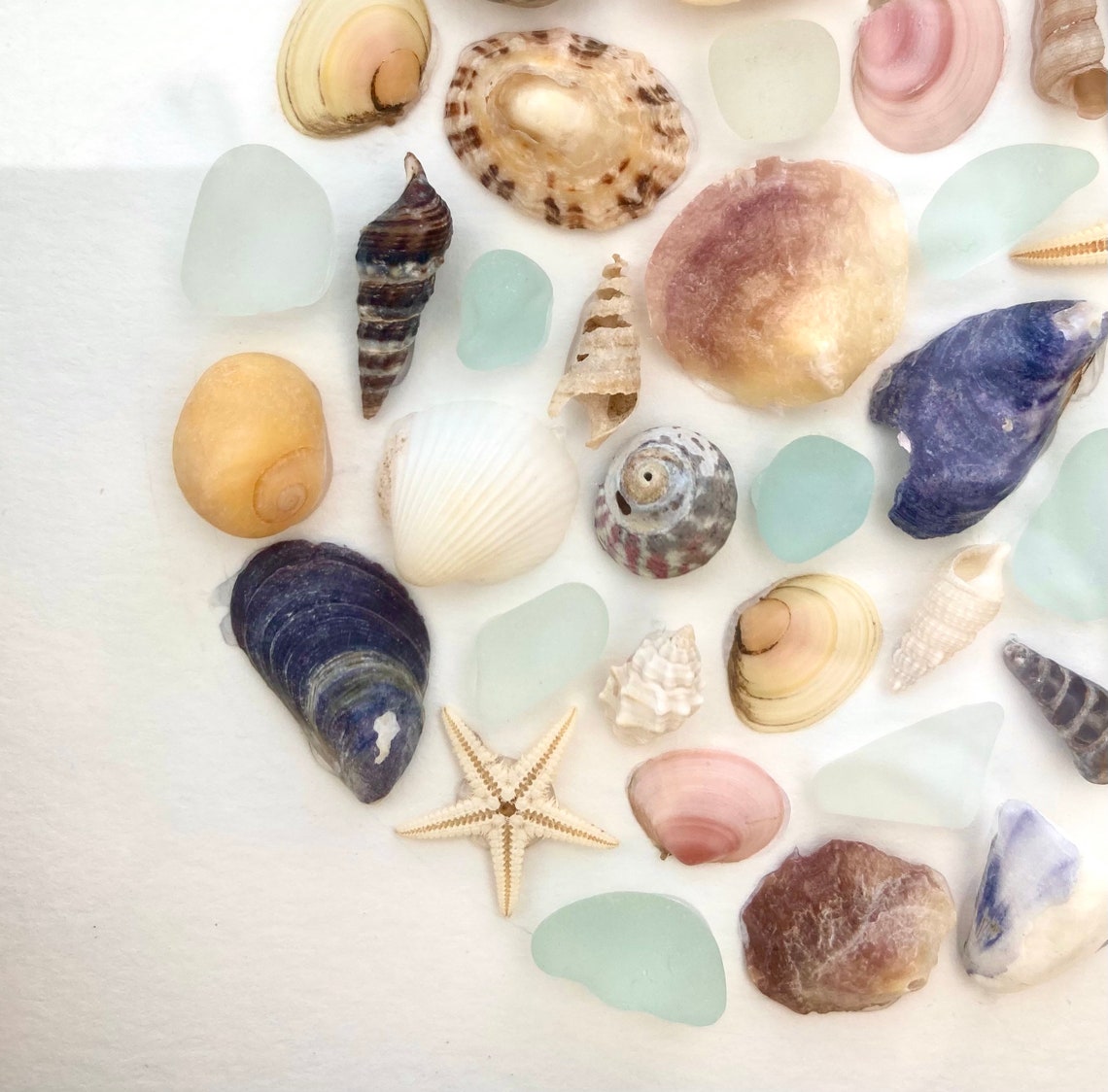 Sea Glass and Sea Shell Circle Art Framed in a White Wooden - Etsy