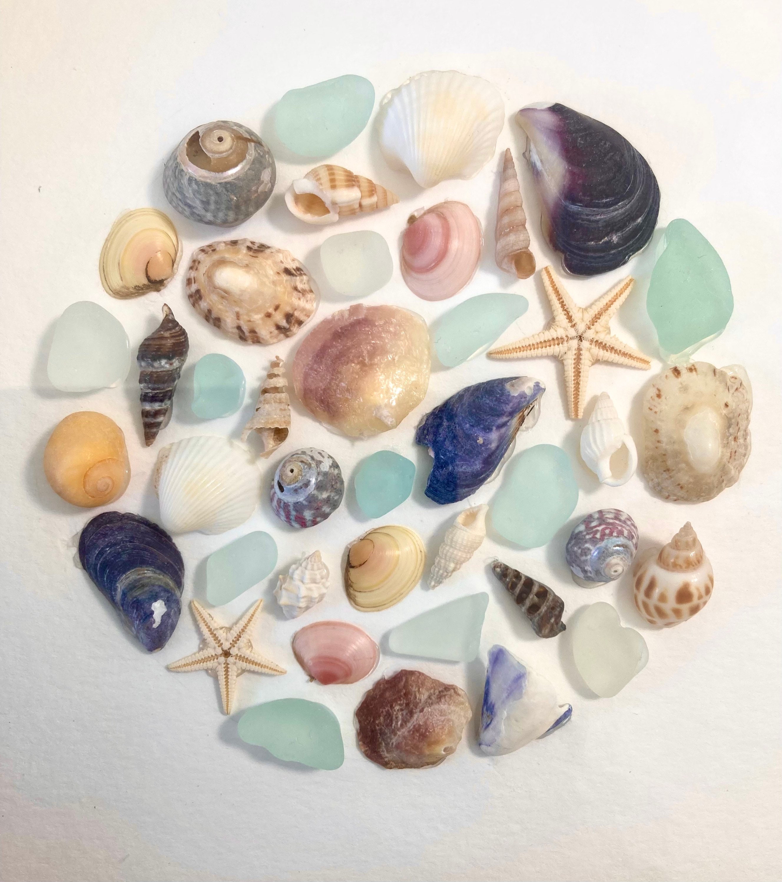 Sea Glass and Sea Shell Circle Art Framed in a White Wooden - Etsy