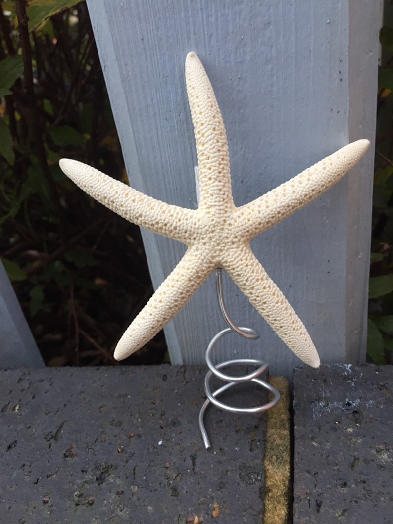 Natural Starfish Christmas Tree Topper Fastened using Flexible | Etsy