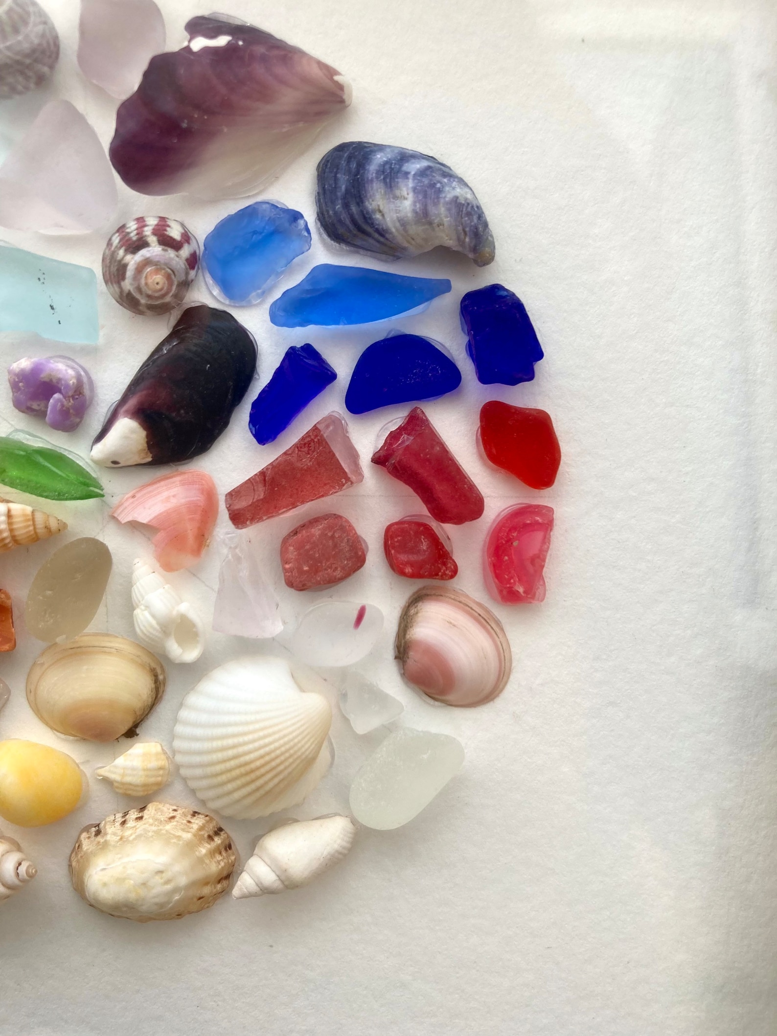 Rainbow Sea Glass and Sea Shell Circle Art Framed in a White - Etsy