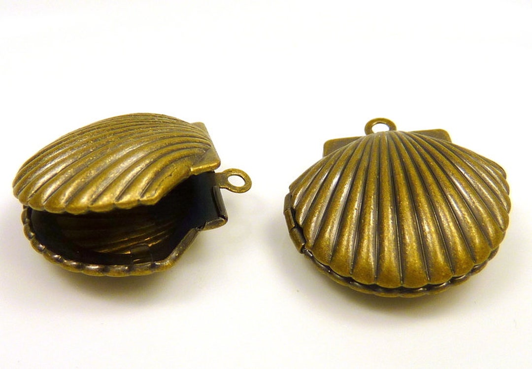 4 Maritime Medallions-shell 24 X 22 Mm-bronze - Etsy
