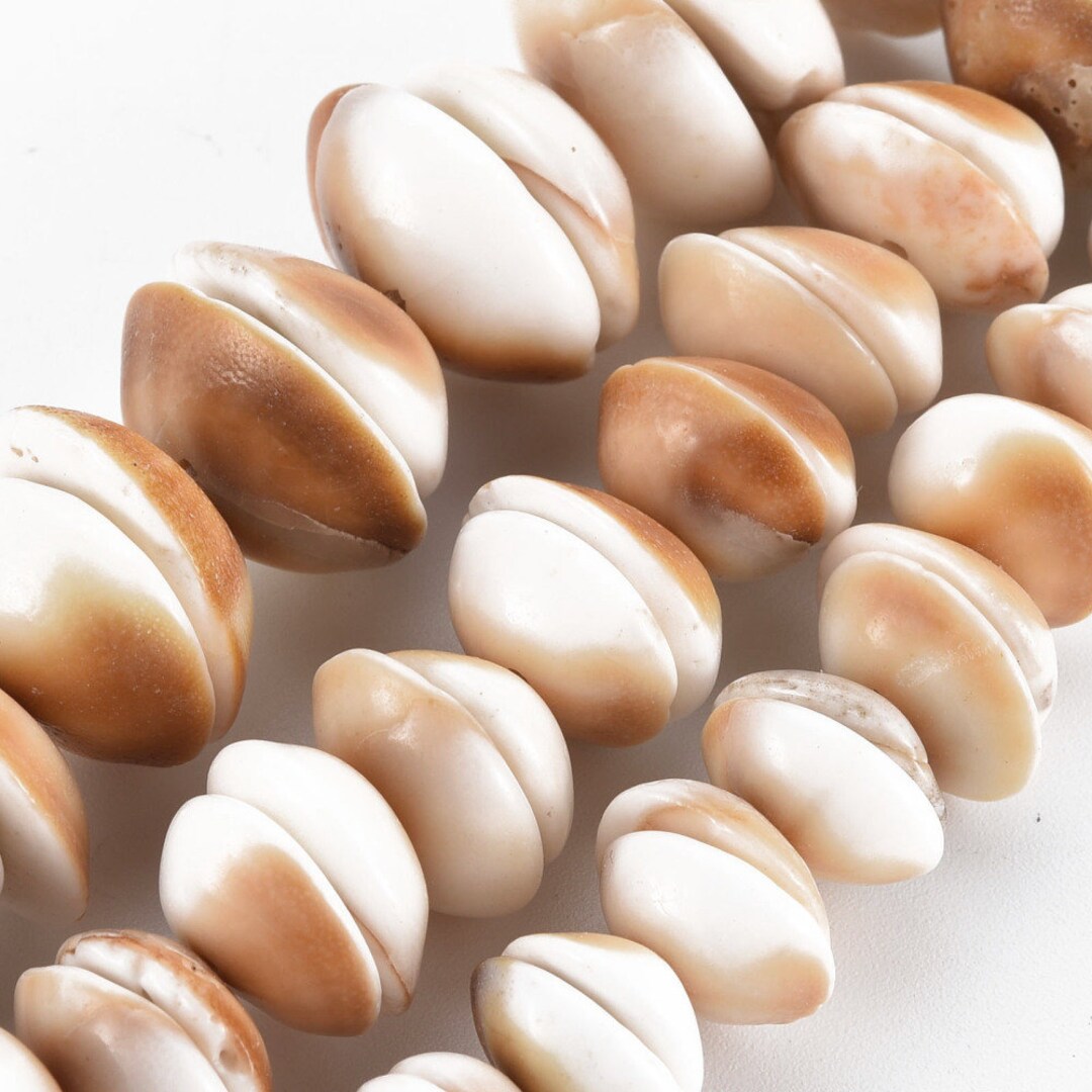 1 Strand Half Round Shell Beads Cream Natural Shells, Beads - Etsy