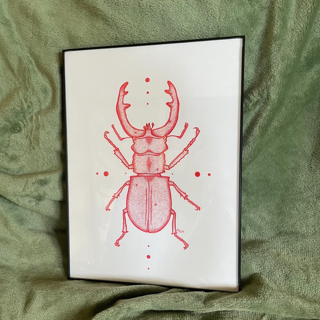 Stag Beetle Drawing - Etsy