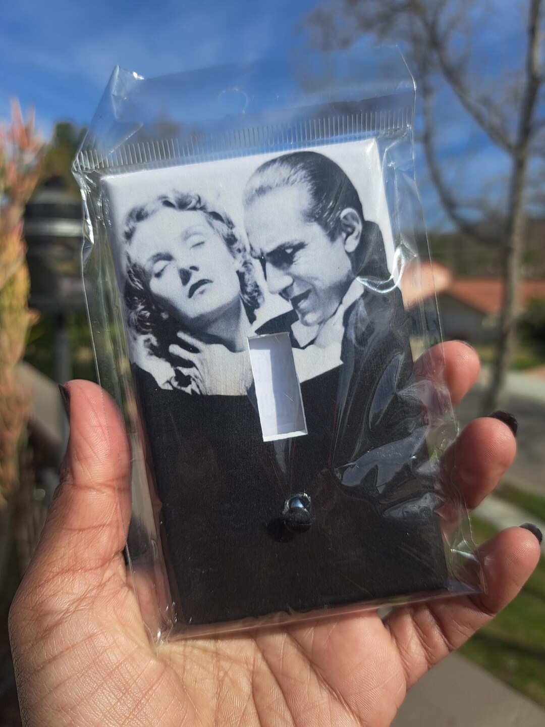 Dracula Lightswitch Cover, Horror Decor, Switchplate, Light Switch ...