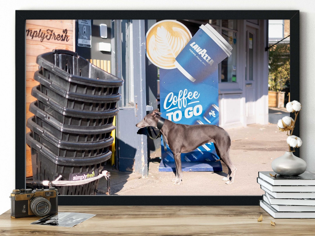 Greyhound Dog Photograph Print, London Street Scene - Etsy