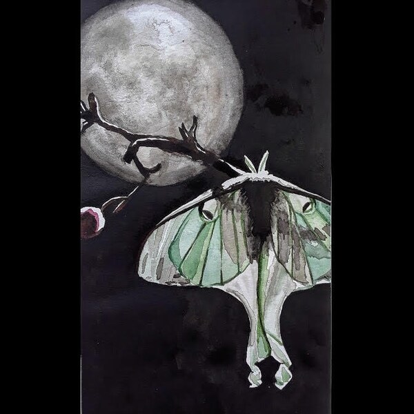 Luna Moth Painting - Etsy