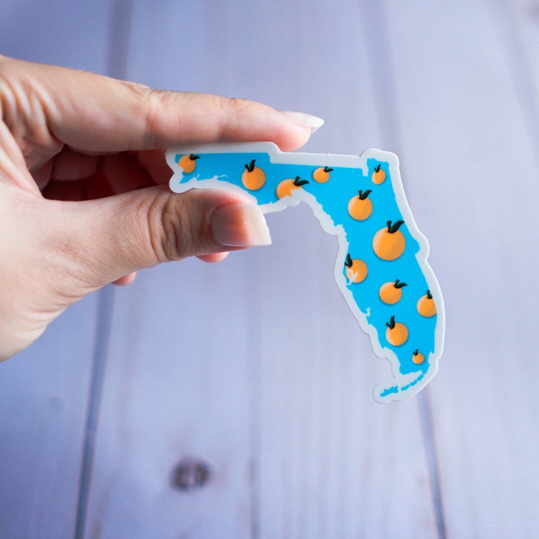 Florida Vinyl Sticker, State Sticker, Laptop Decal, Car Decal ...