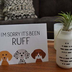 Sorry It's Been Ruff Puppy Dog Thinking of You Friendship Sympathy Card ...