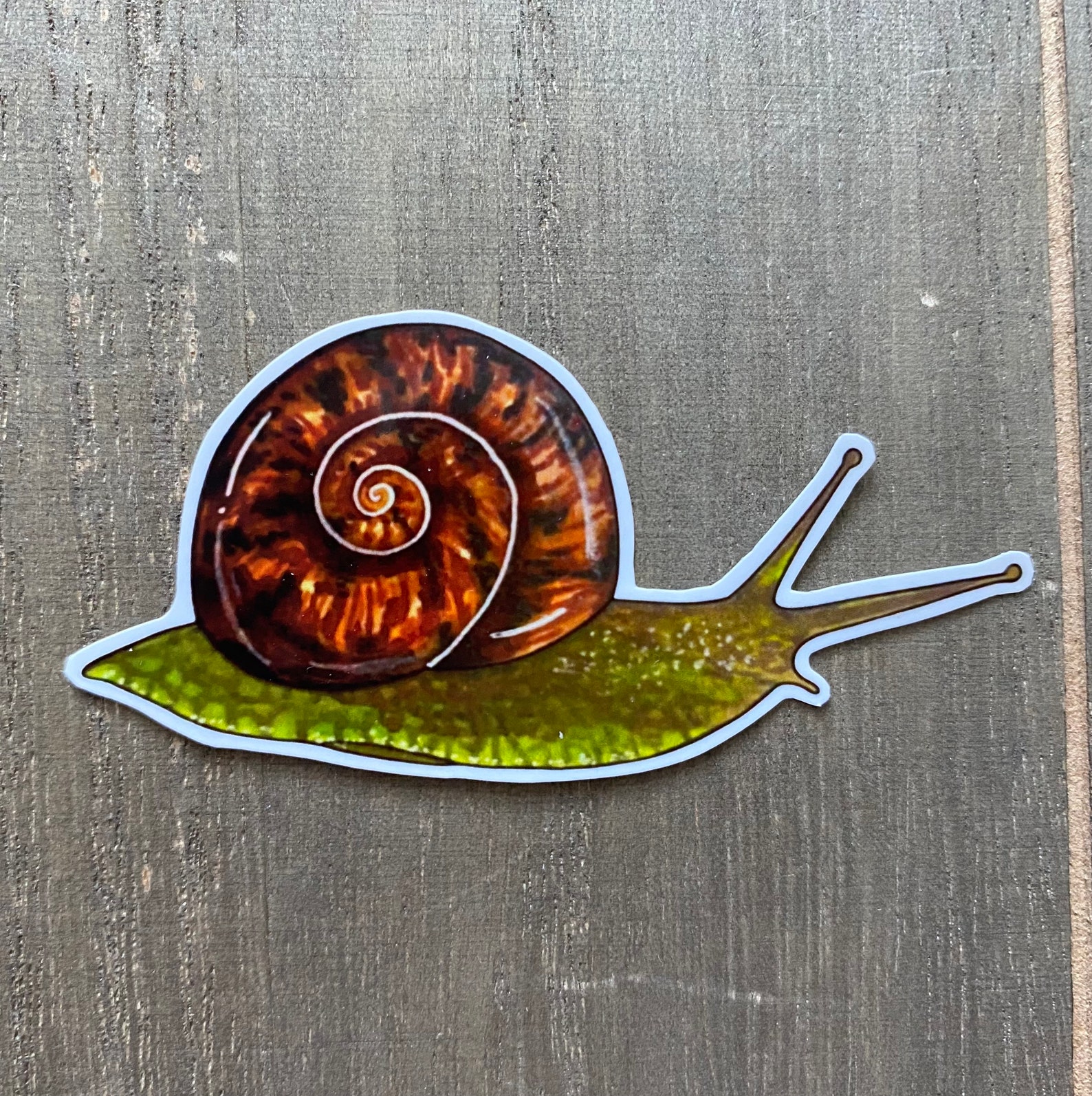 Cute Hand Drawn Snail Vinyl Sticker | Etsy