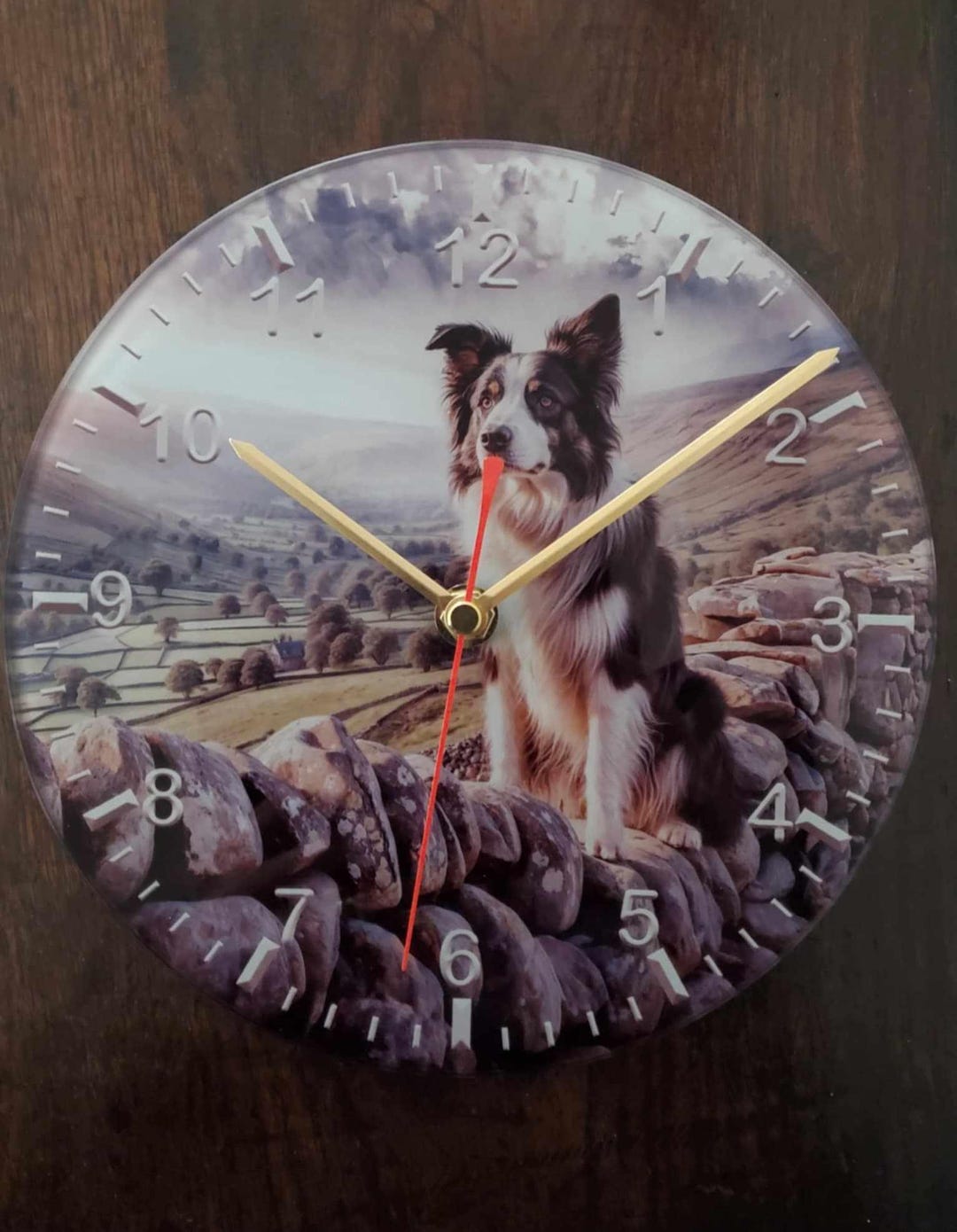 Border Collie GLASS Quartz CLOCK. Wall Mounted. 20cm Round - Etsy