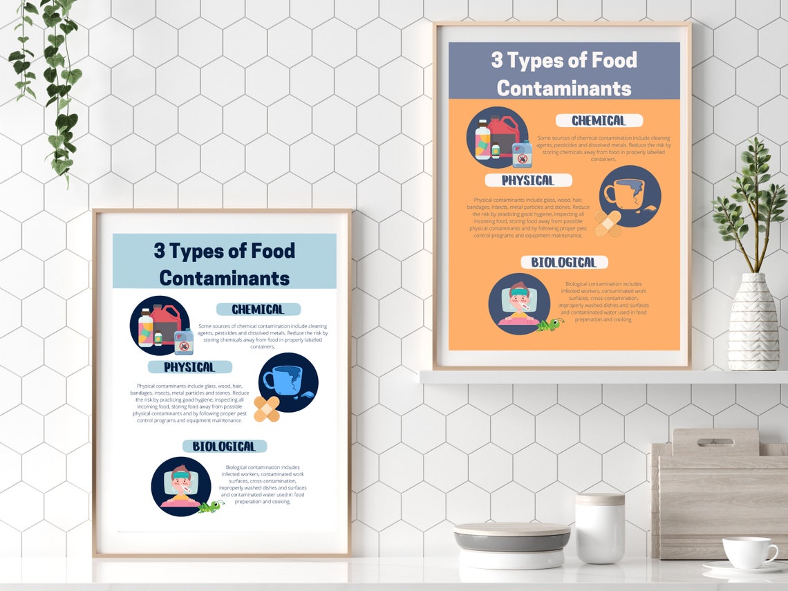 Three Types of Food Contaminants Safety Poster, Food Safe Chart ...