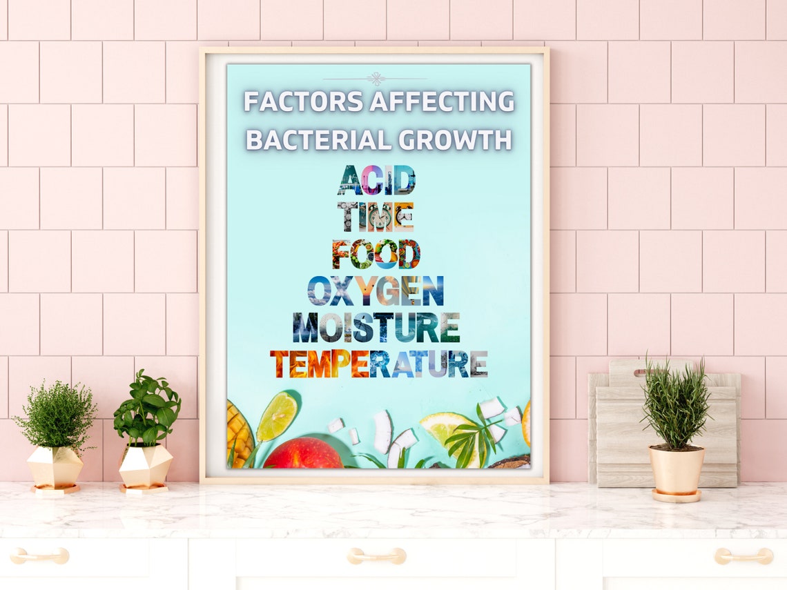 Food Safety Poster Factors That Affect Bacterial Growth - Etsy