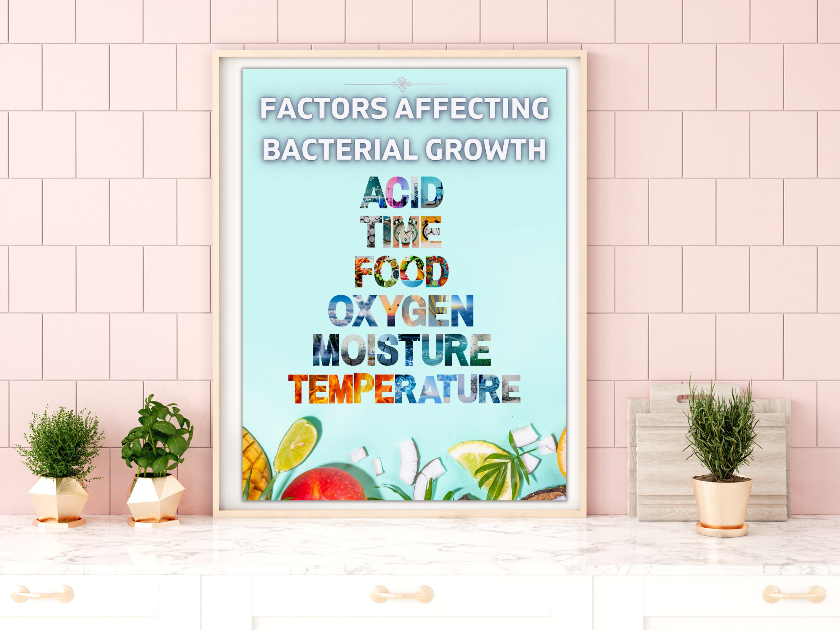 Food Safety Poster, Factors That Affect Bacterial Growth, Restaurant ...