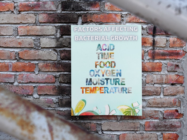 Food Safety Poster, Factors That Affect Bacterial Growth, Restaurant ...