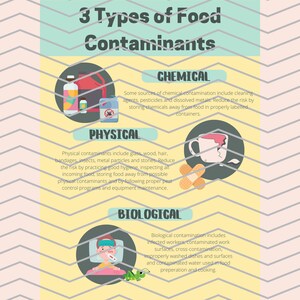 Three Types of Food Contaminants Safety Poster Food Safe - Etsy