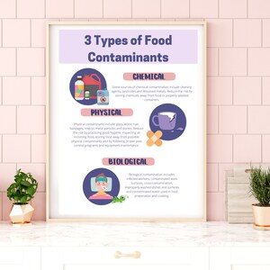 Three Types of Food Contaminants Safety Poster, Food Safe Chart ...
