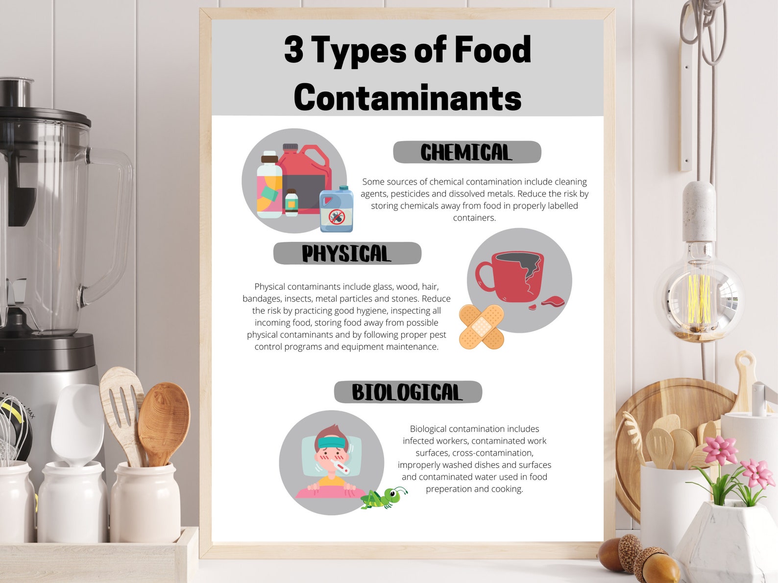 Three Types of Food Contaminants Safety Poster, Food Safe Chart ...