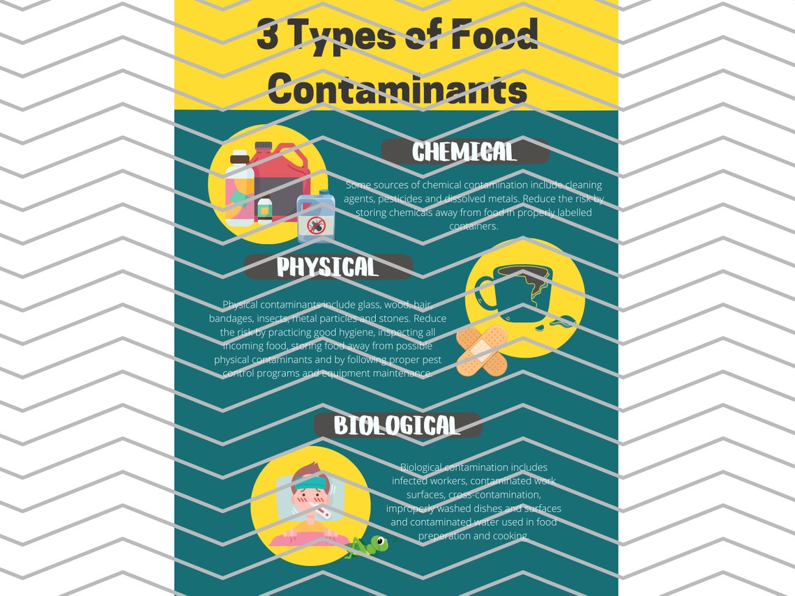 Three Types of Food Contaminants Safety Poster Food Safe - Etsy