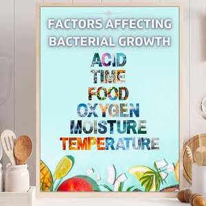 Food Safety Poster, Factors That Affect Bacterial Growth, Restaurant ...