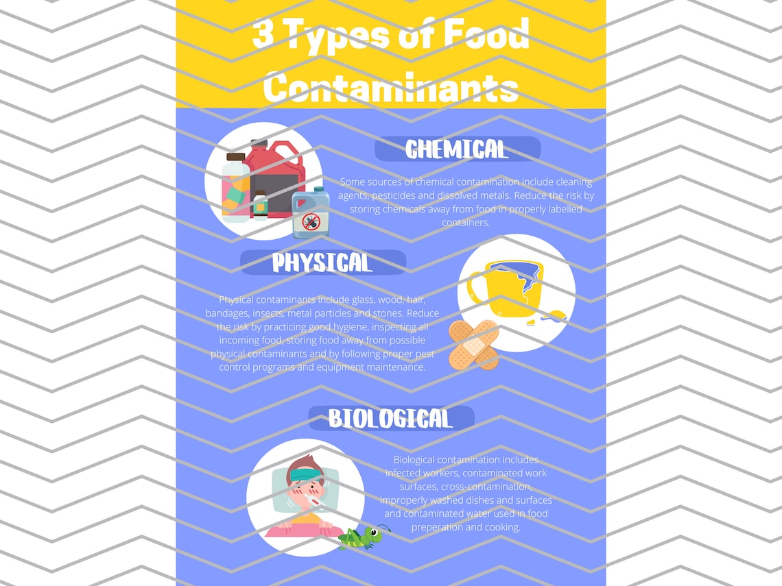 Three Types of Food Contaminants Safety Poster Food Safe - Etsy