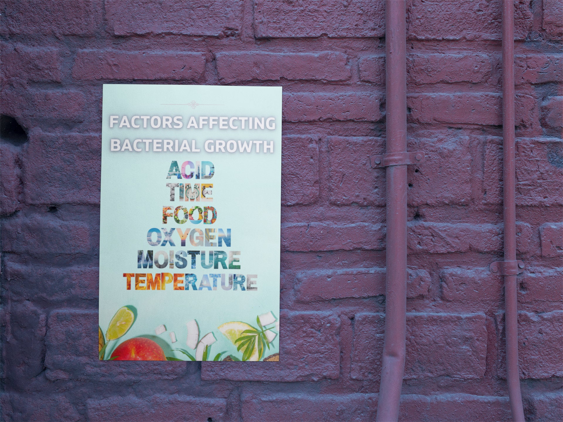 Food Safety Poster Factors That Affect Bacterial Growth - Etsy UK