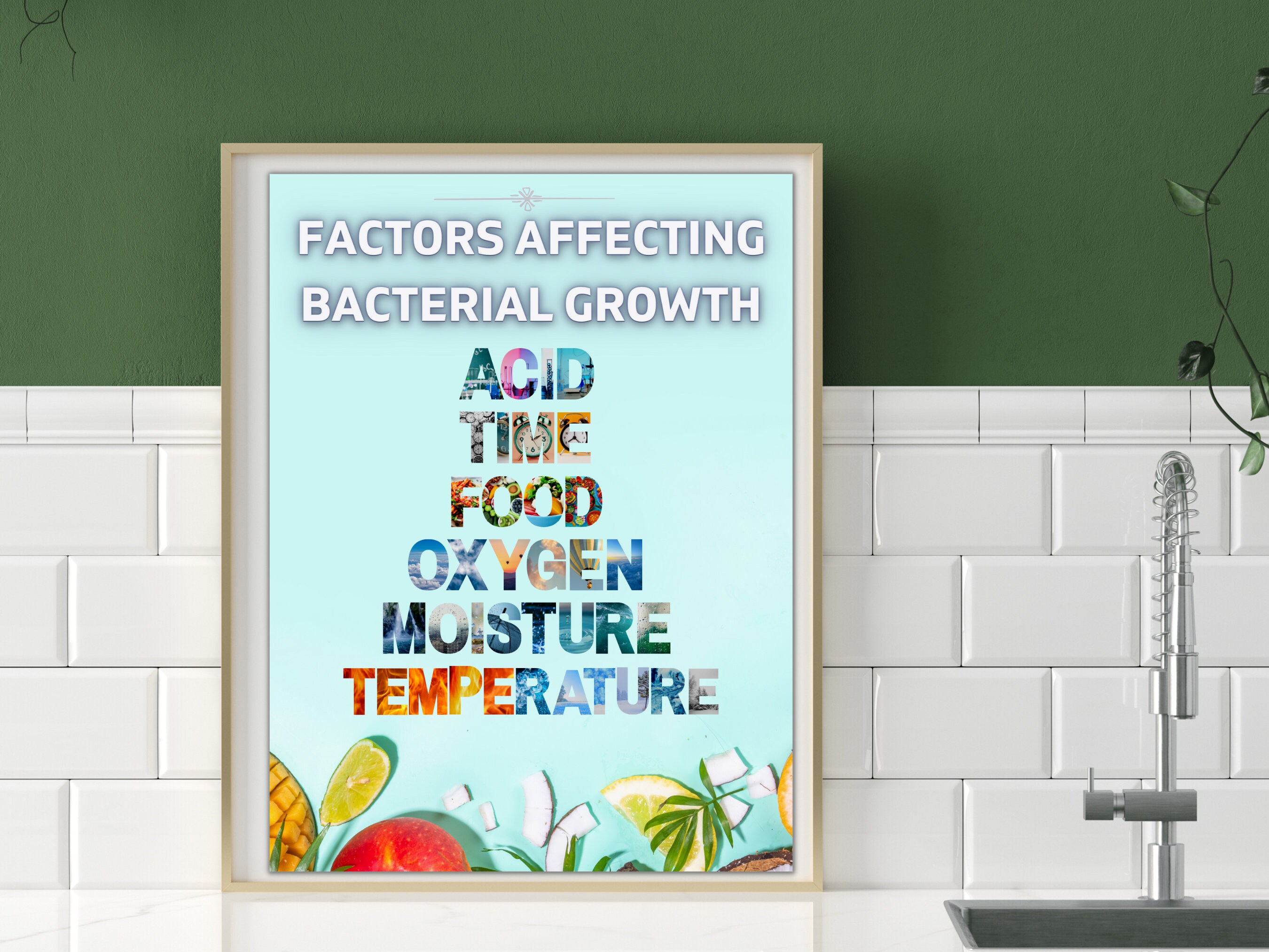 Food Safety Poster, Factors That Affect Bacterial Growth, Restaurant ...